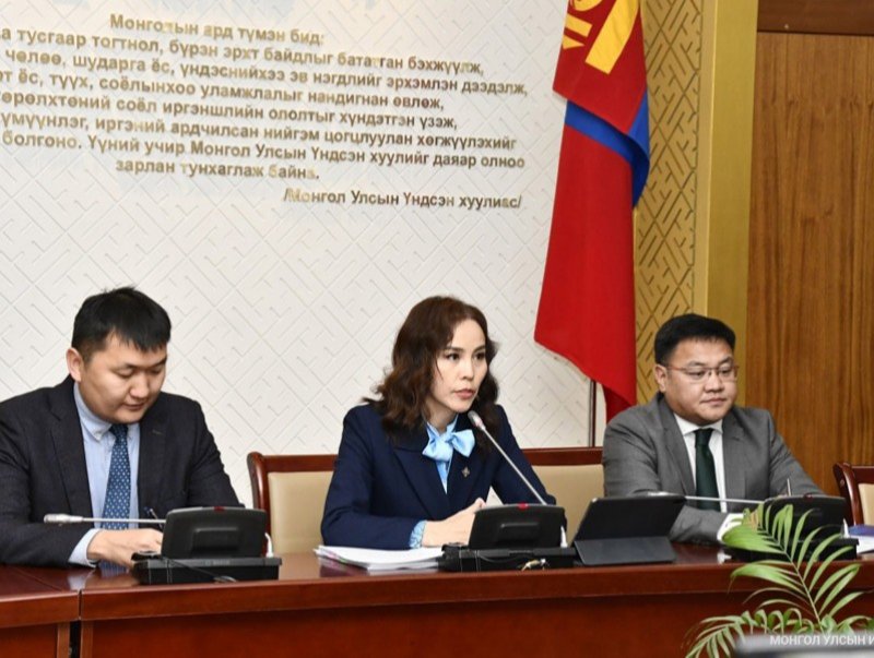 Ц Мөнхцэцэг УИХ анх удаа хүний эрх жендэрийн асуудлаар өөрийн үнэлгээ